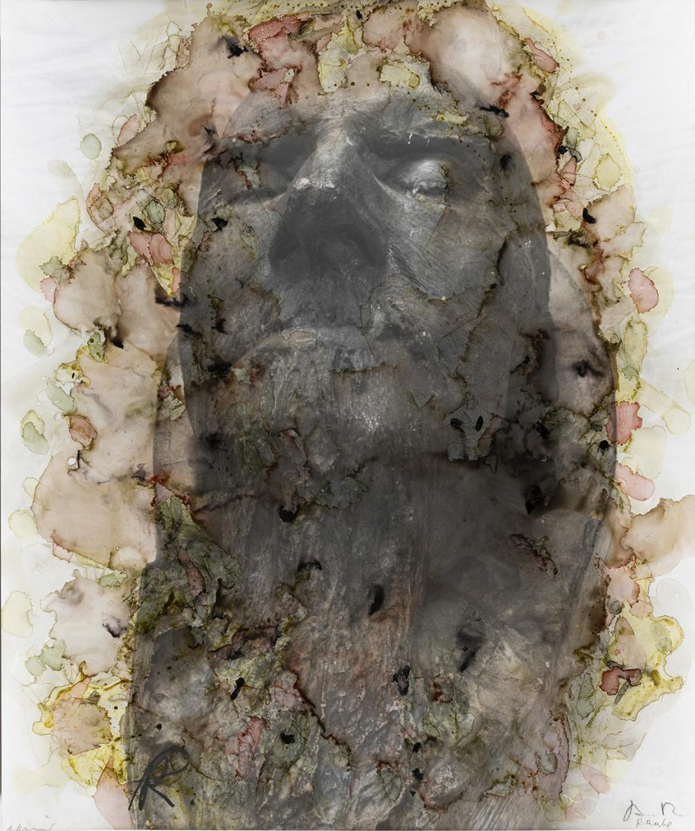 MAMCO Genève - Collection - Catalogue - Arnulf Rainer, Raabe ...