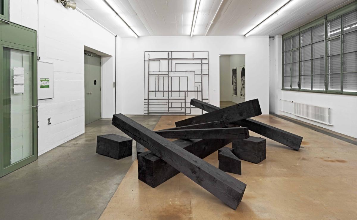 MAMCO Genève - Collection - Catalogue - Didier Rittener, Wilderness, 2007